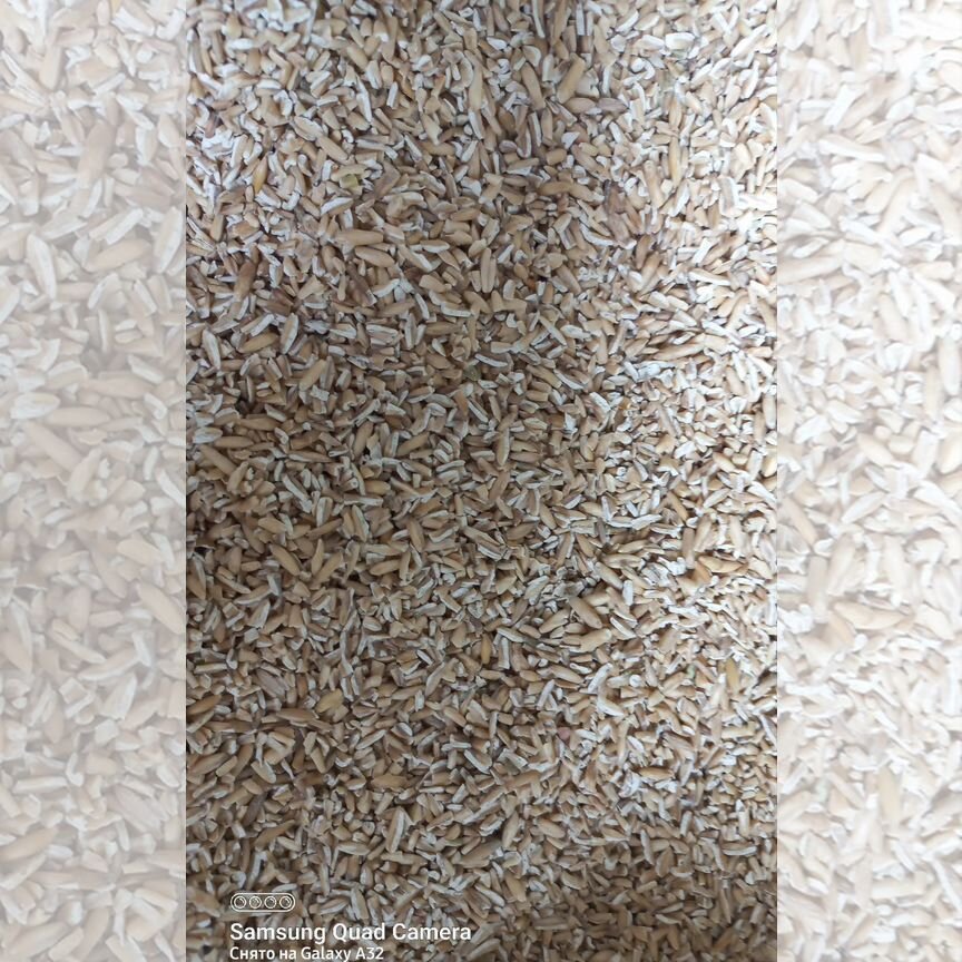 Овес очищенный колотый (овсянка)