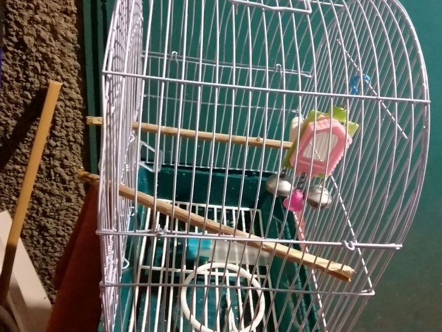 Клетка для птиц