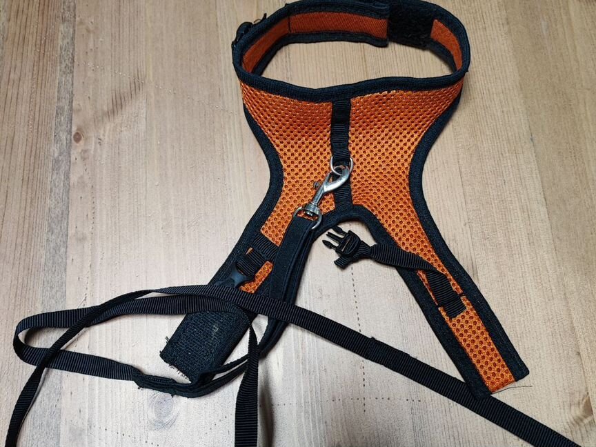 Шлейка для кошки