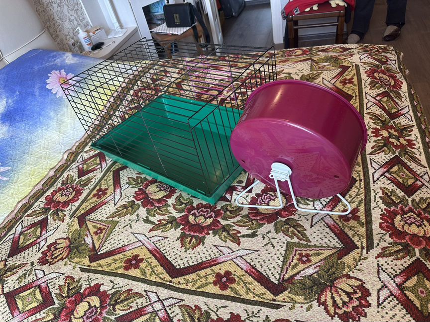 Клетка и колесо для грызунов или декоративного ежа