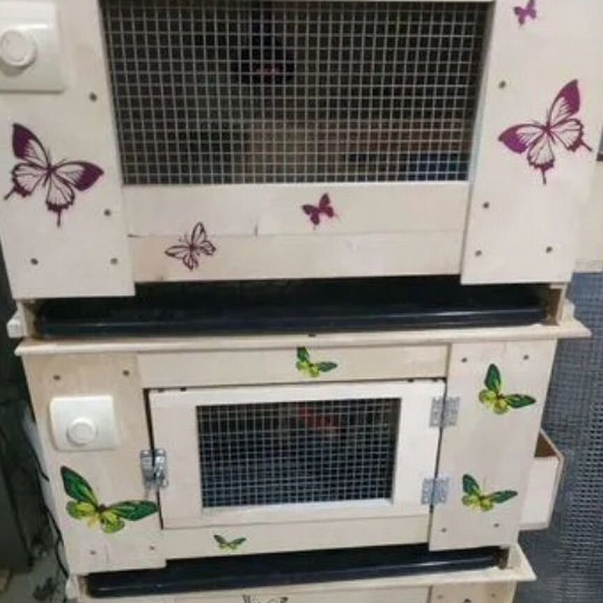 Брудер, клетка для цыплят