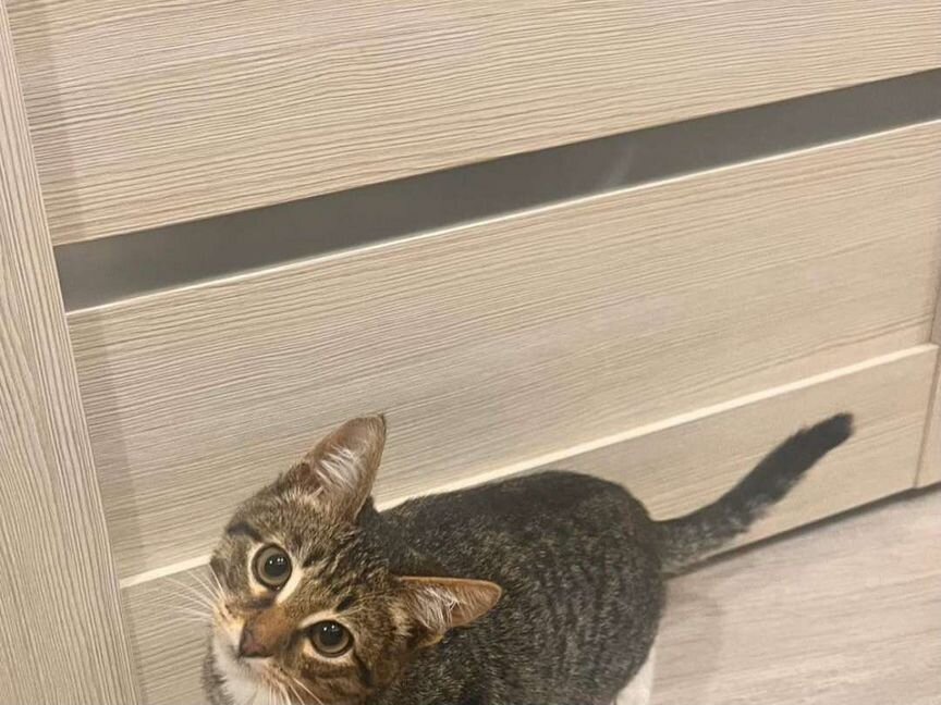 Глаза полные надежды