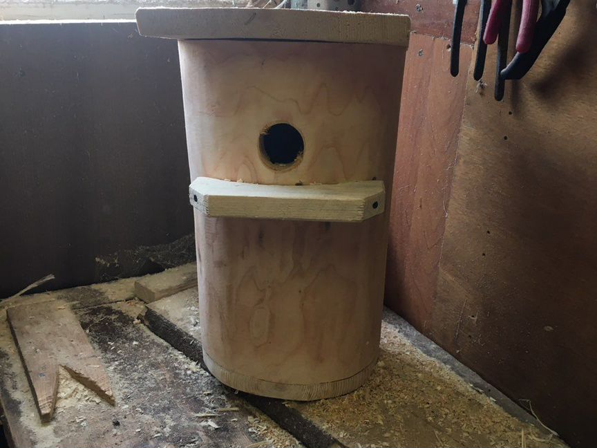 Бельчатник