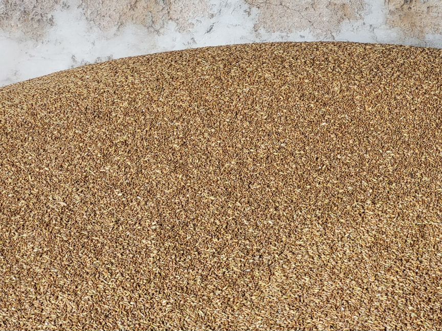 Товары для животных