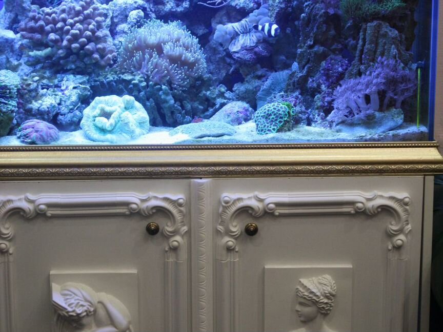 Морской аквариум 432 литра