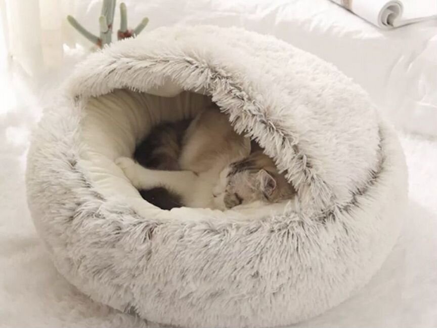 Лежанка