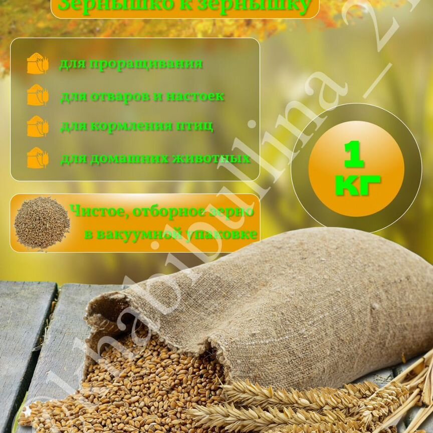 Пшеница 1 кг