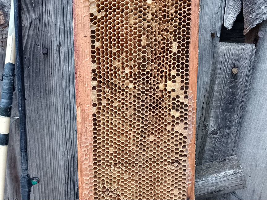 Продам рамки магазинные