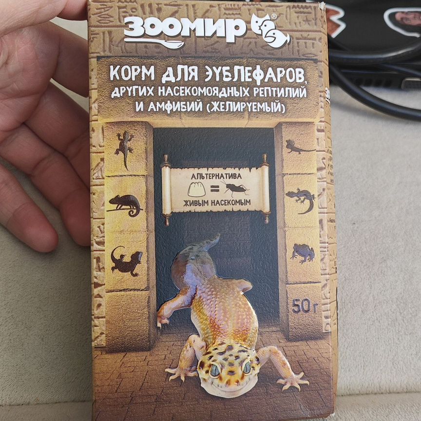 Остатки корма для эублефара
