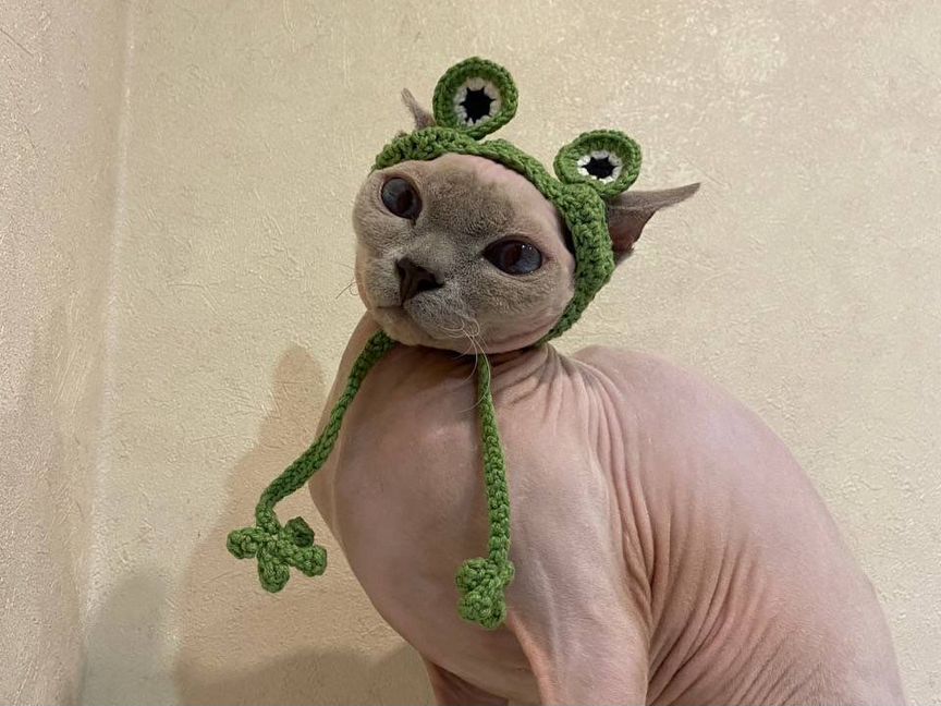 Чепчик лягушка для вашей любимицы