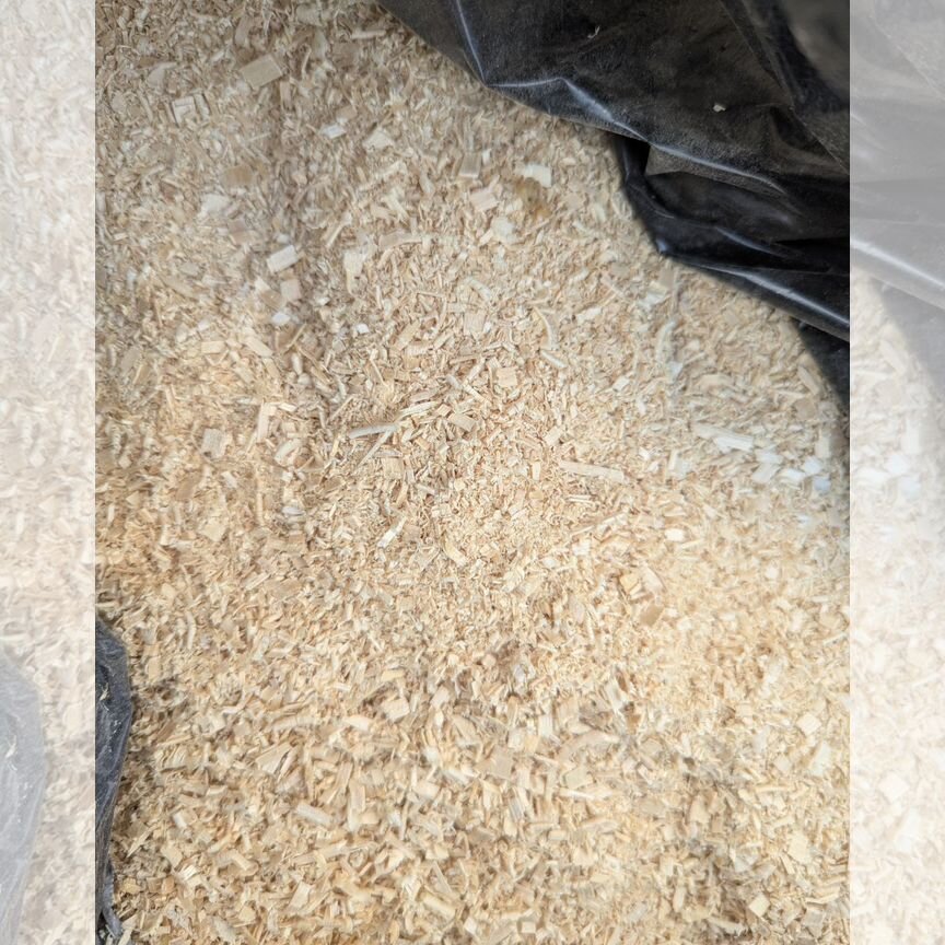 Сухие берёзовые опилки