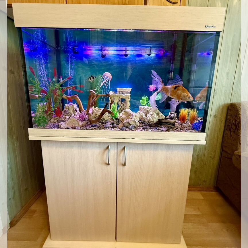Аквариум полный комплект