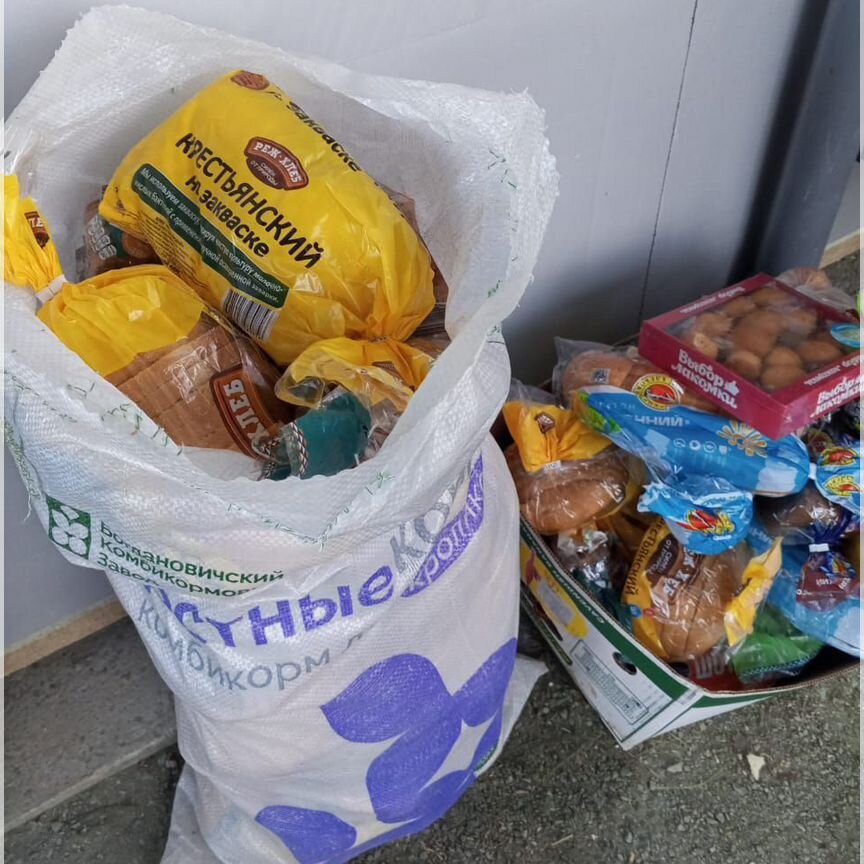 Хлеб и сухари для животных