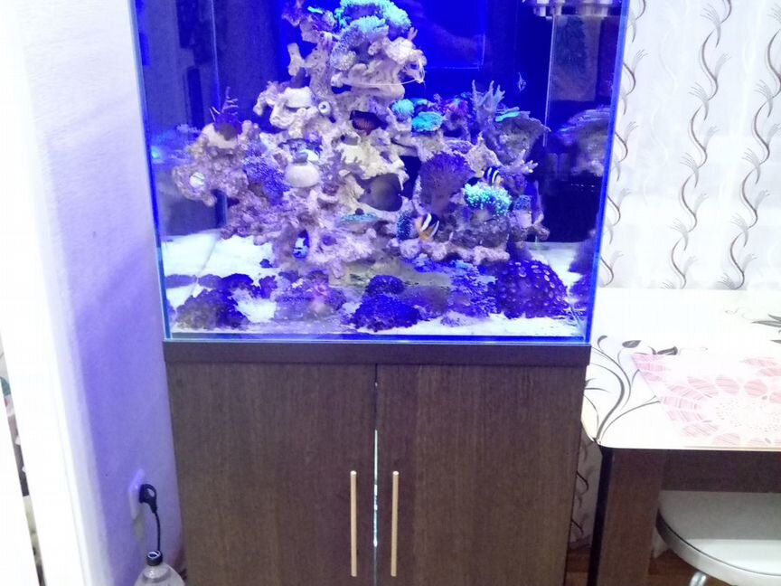 Продам морской аквариум 250 л куб