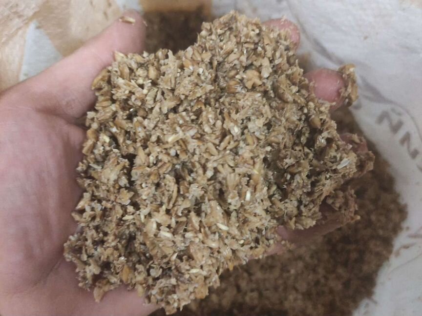 Пивная дробина (солодовая). Корм для скота, птицы