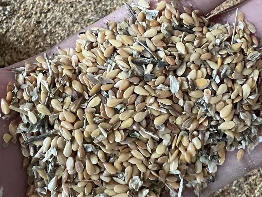 С/х продукция: отходы льна