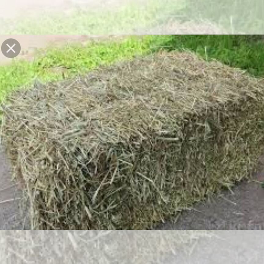 Сено в тюках