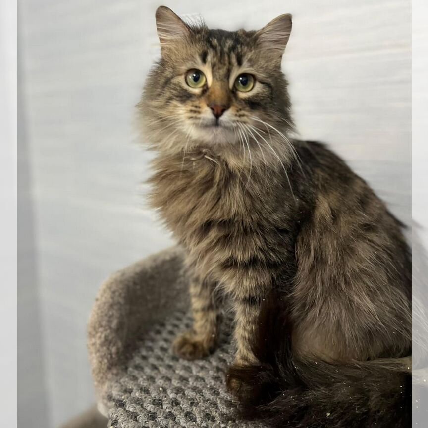 Маленький мальчик