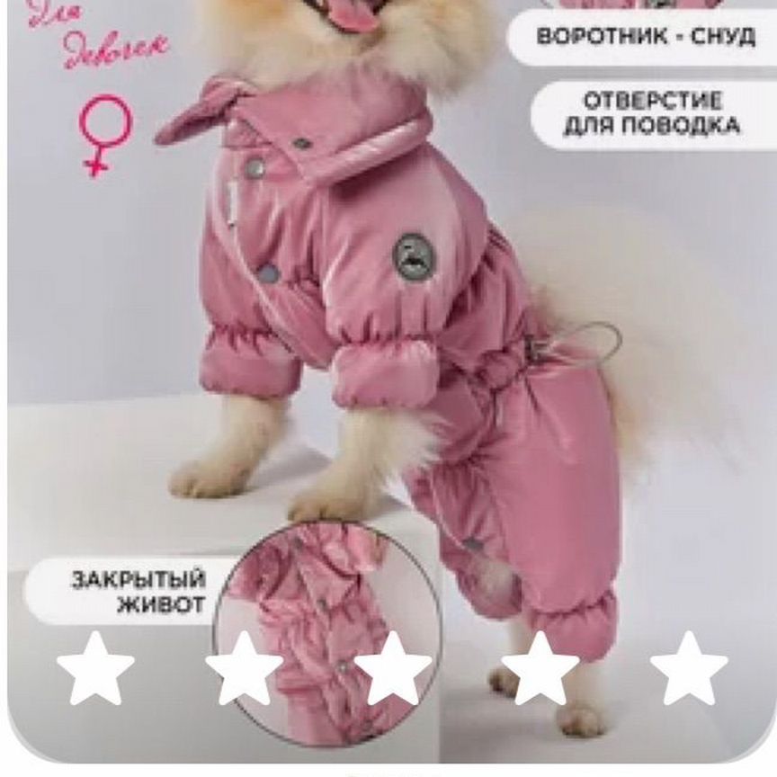 Одежда для собак мелких пород девочка