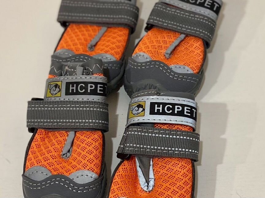 Ботинки для собак