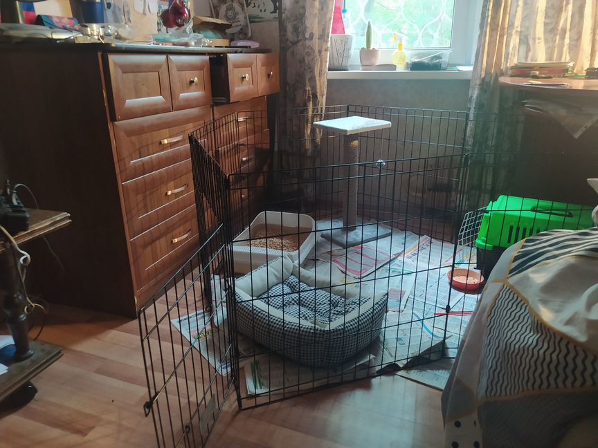 Клетка для животных от Midwest homes for pats