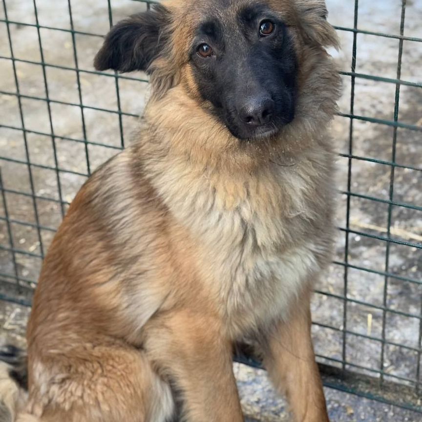 Малышка в семью