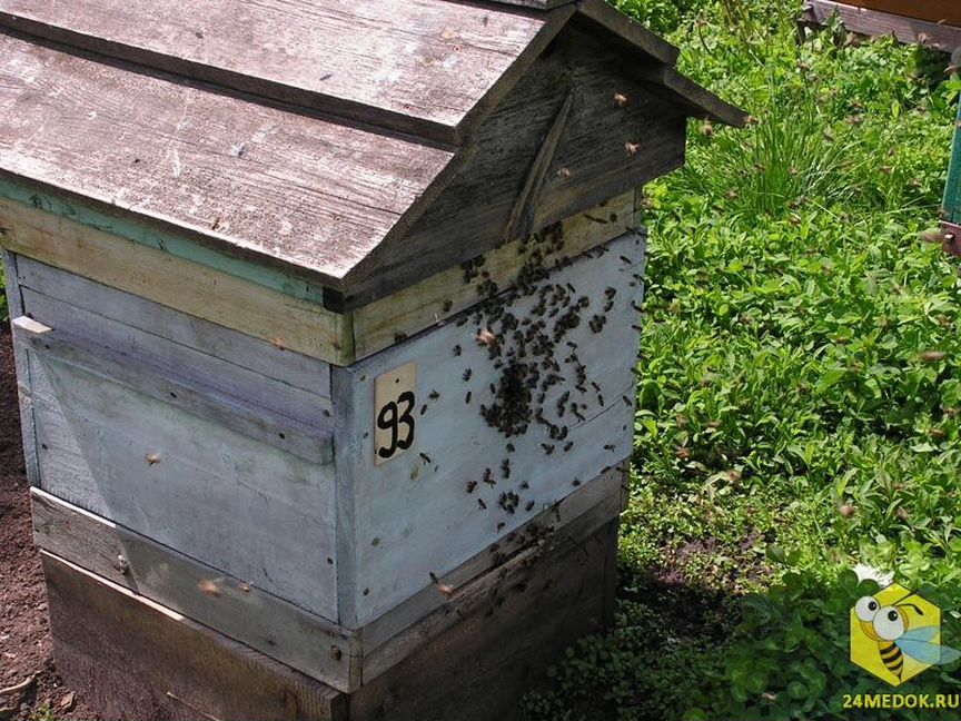 Ульи рута и дадан переделанные под безрамочное сод