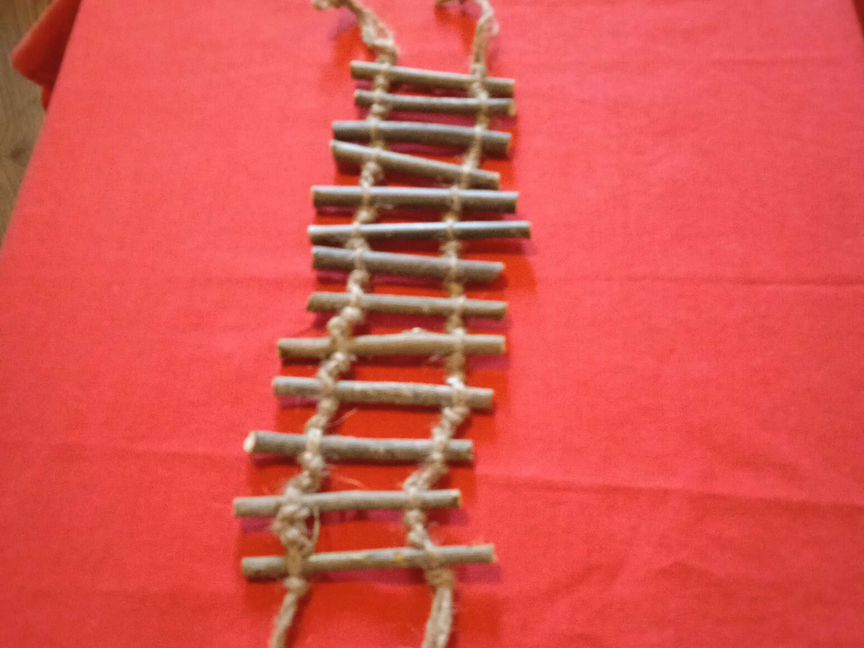 Лесенка для грызунов, попугаев