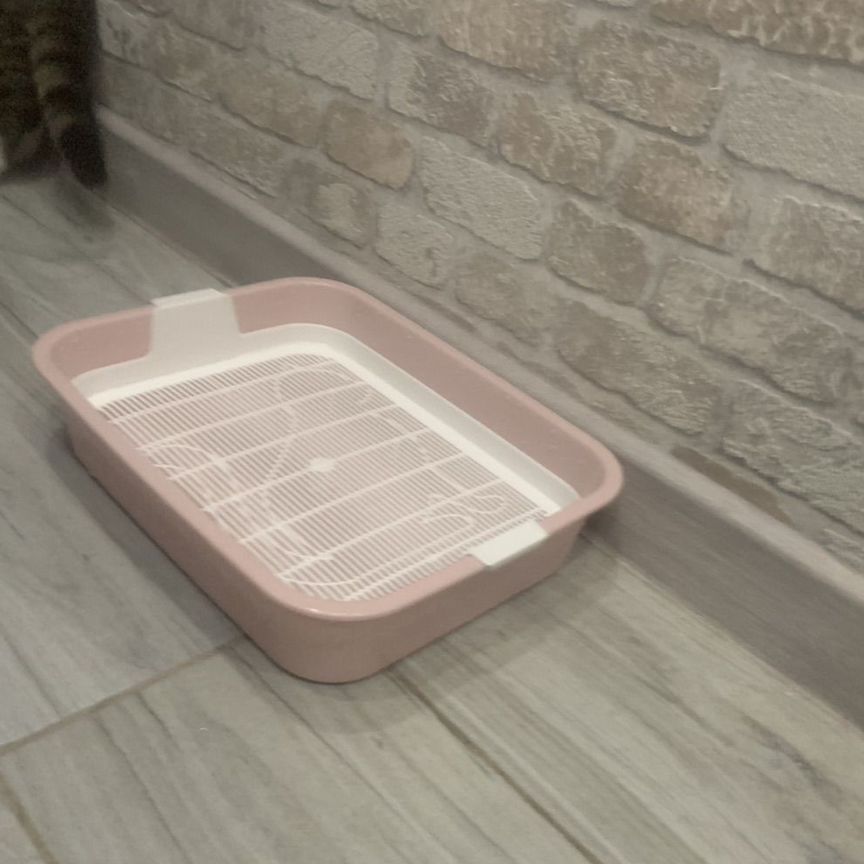 Лоток для кошек