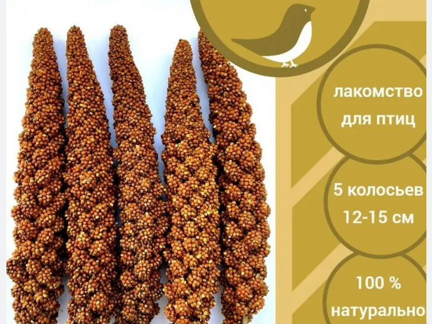 Чумиза для птиц
