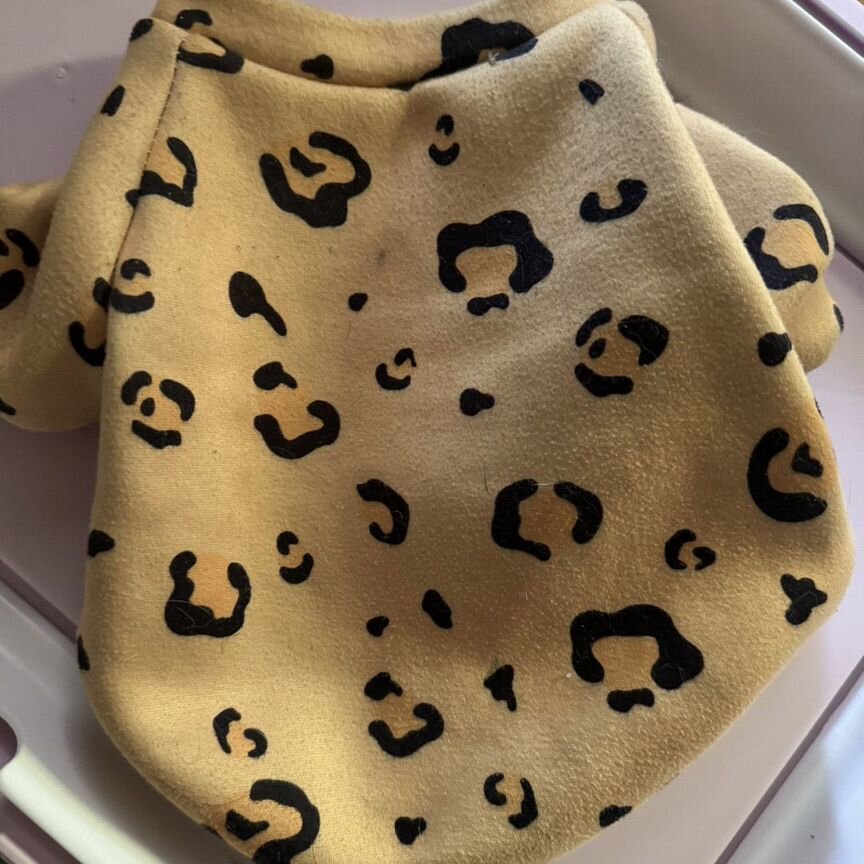 Одежда для мелкой собачки