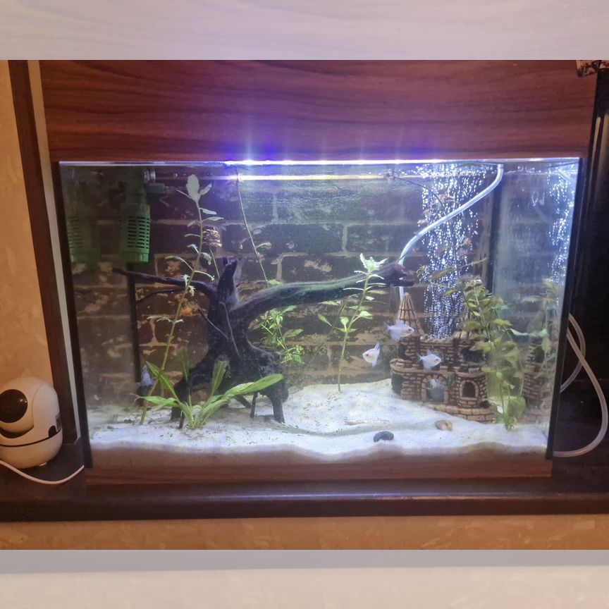 Аквариум с рыбками