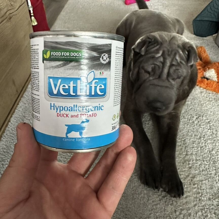 Собачие консервы