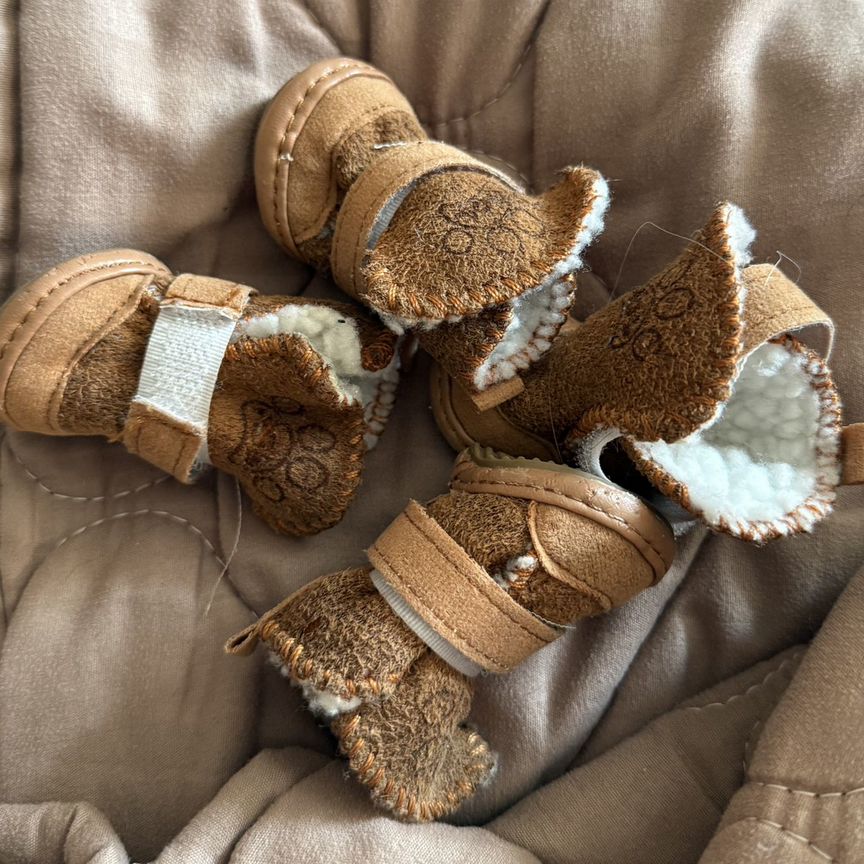 Ботинки для собаки мелких пород