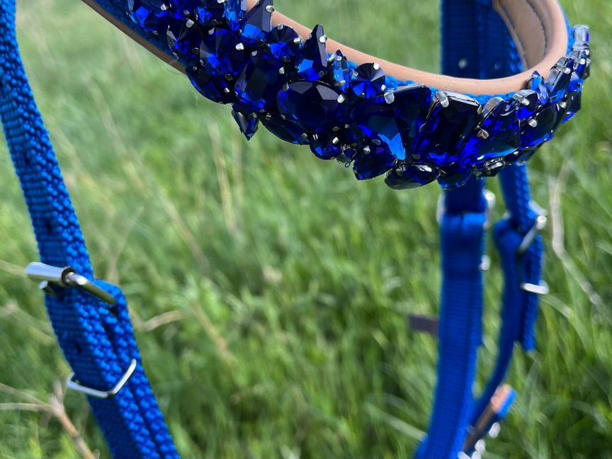 Уздечка для лошади