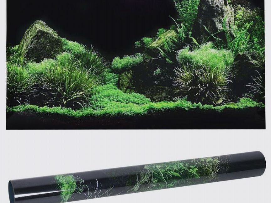 Фон для аквариума