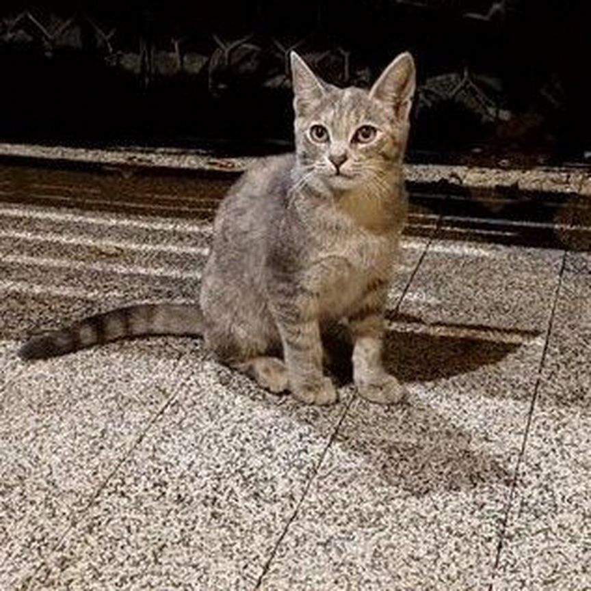 Нужно спасти