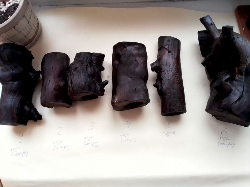 Коряги для аквариума