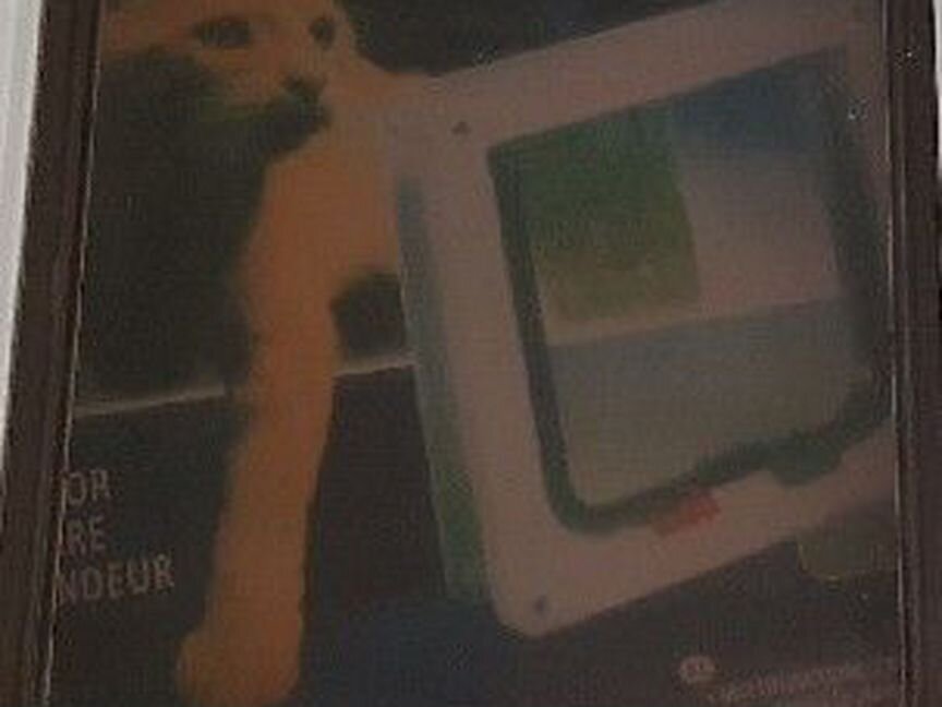 Кошачий лаз