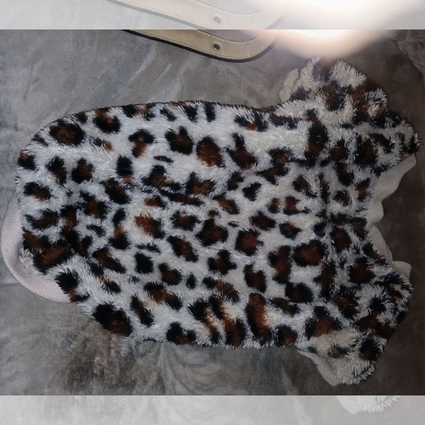 Комбинезон на весну для собачек