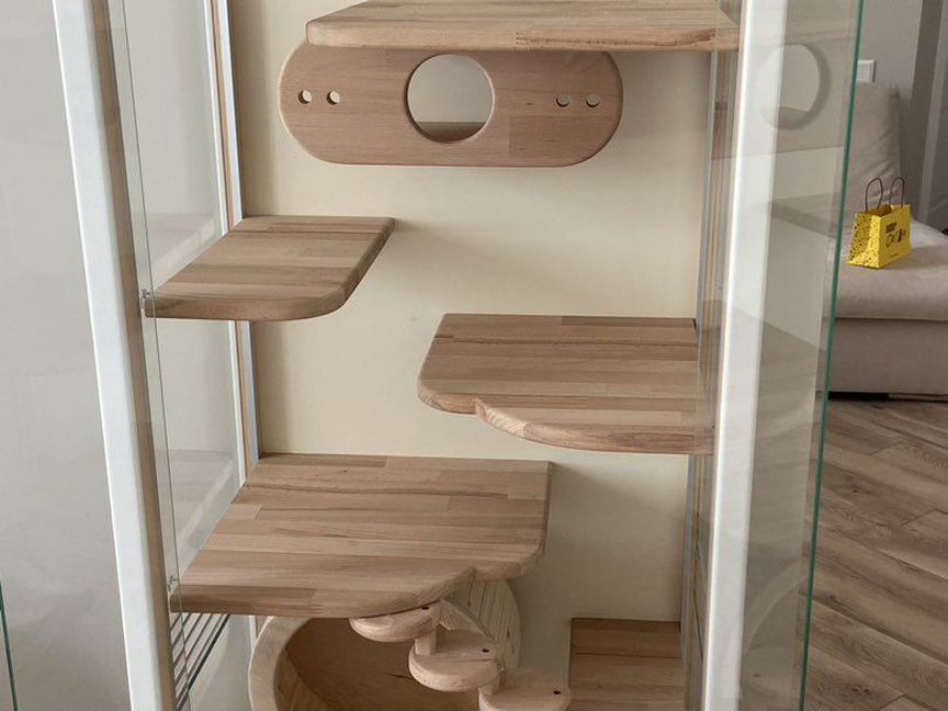 Витрина для шиншилл