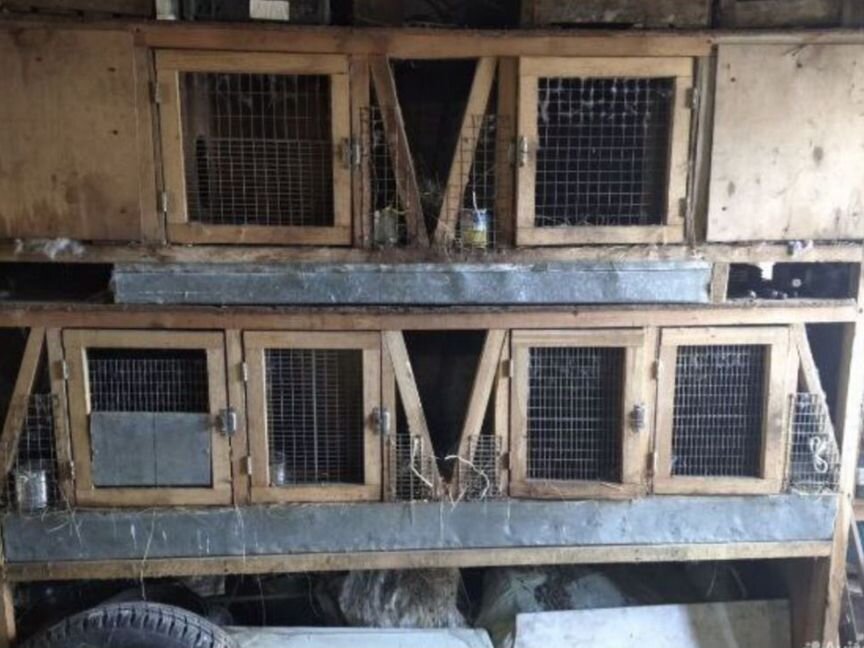 Клетки для кроликов