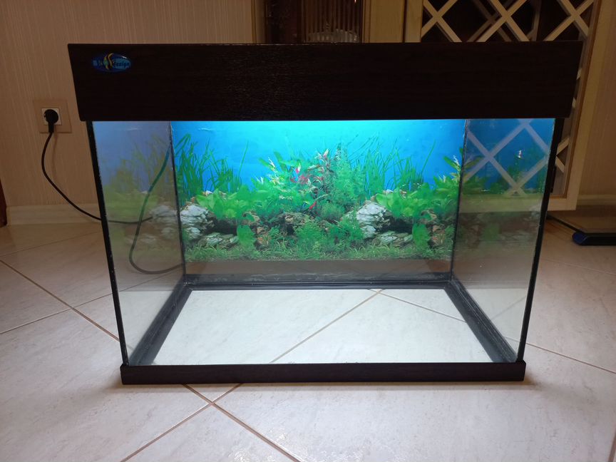 Аквариум Биодизайн риф 60 литров с лампой, крышкой