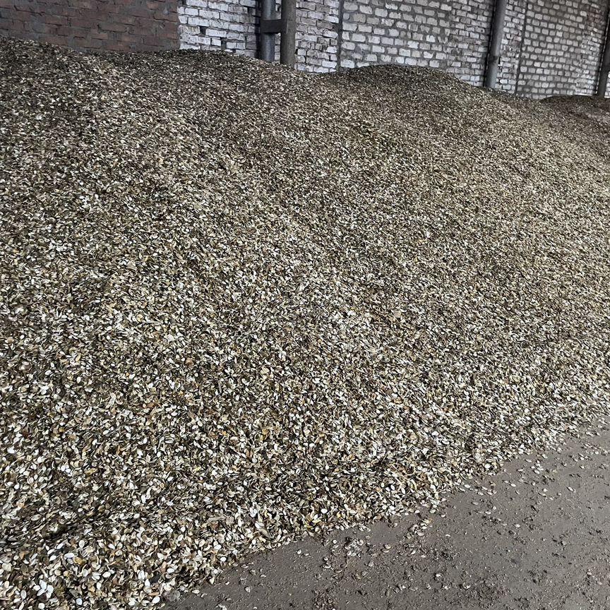 Тыквенные семечки