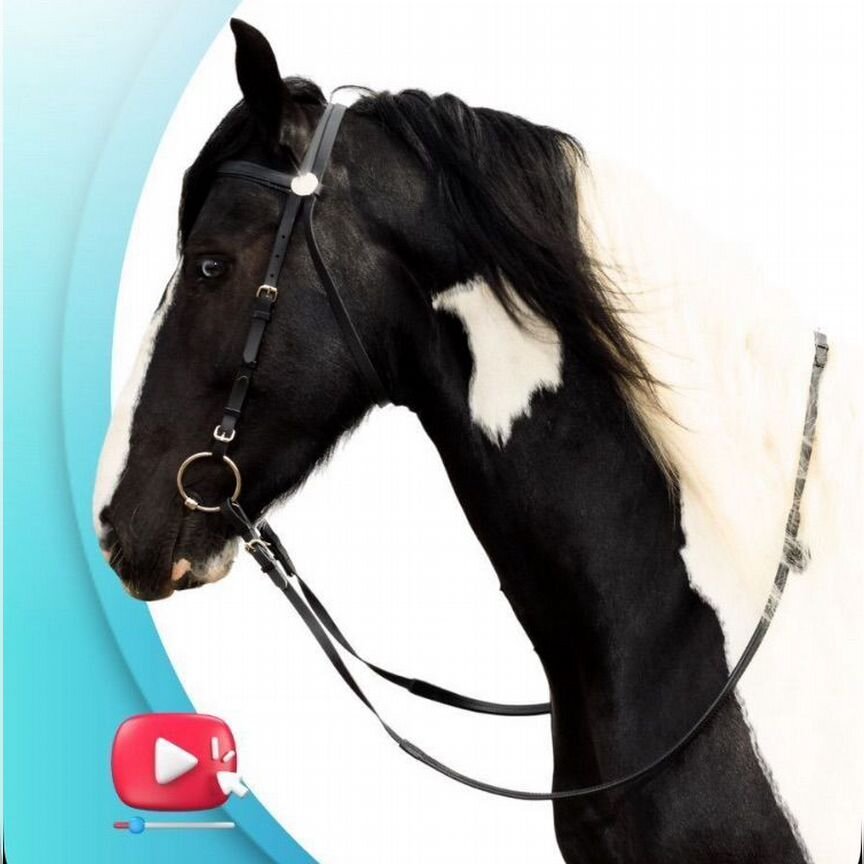 Оголовье и повод