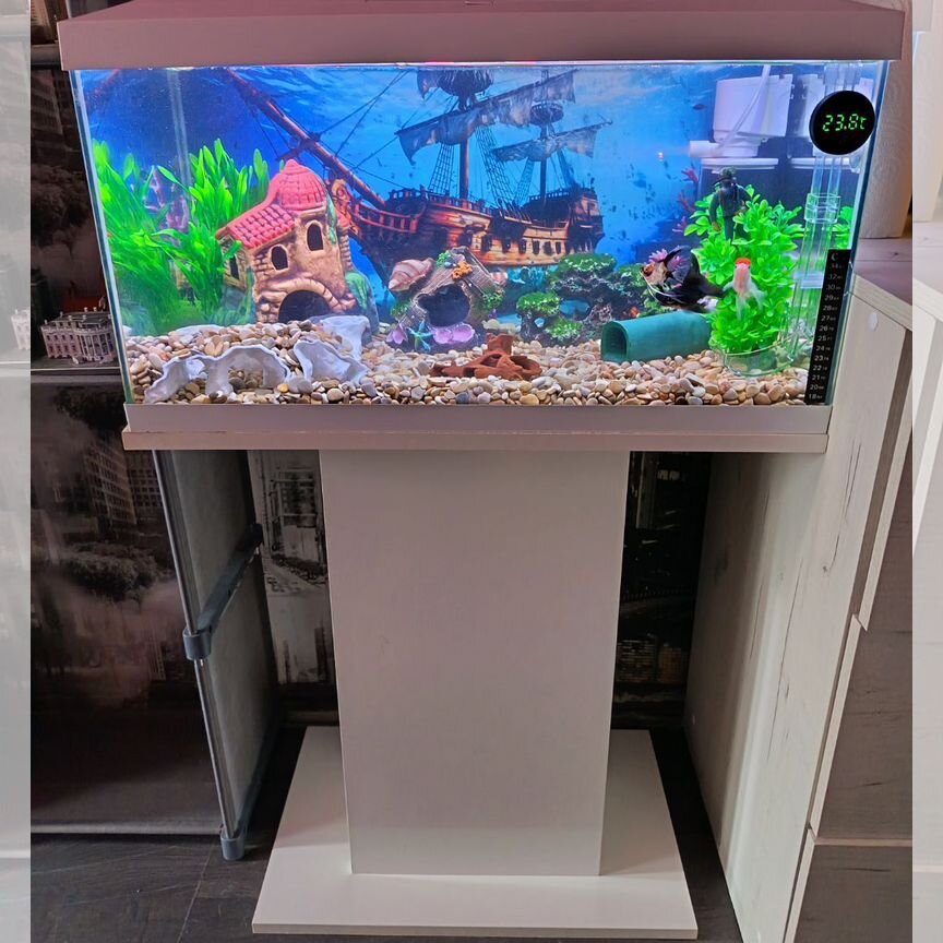 Аквариум с рыбками