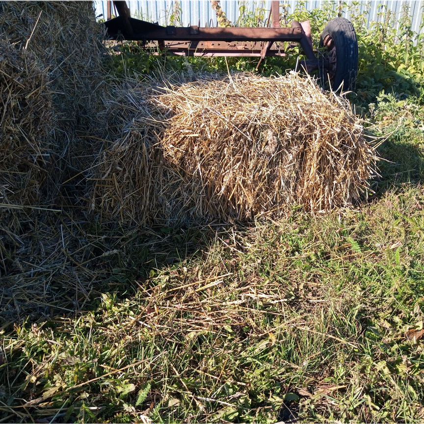 Солома в тюках