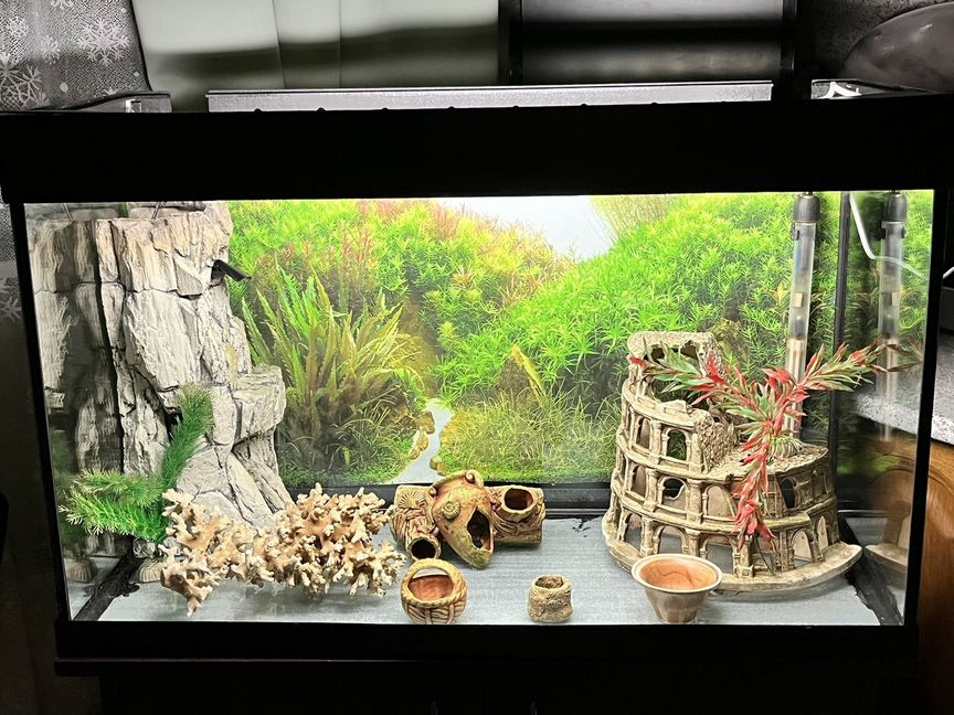 Аквариум с тумбой 100 литров + полный комплект