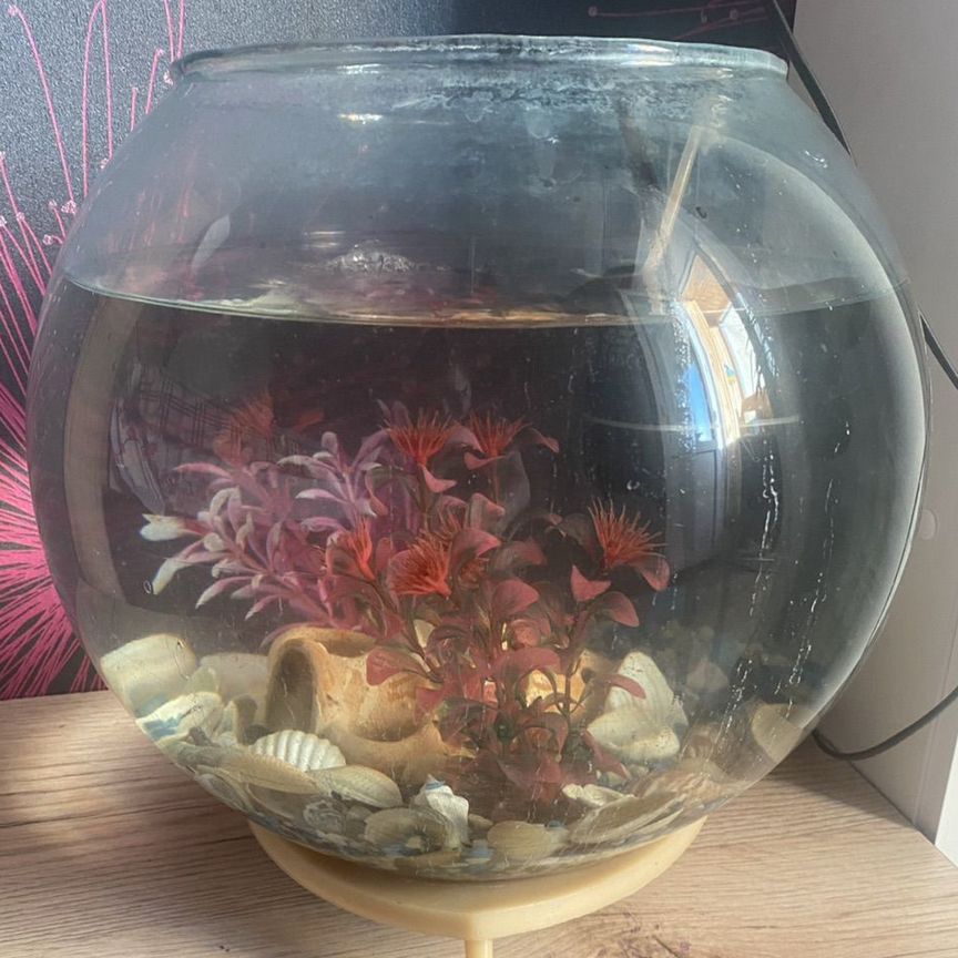 Продам аквариум бу