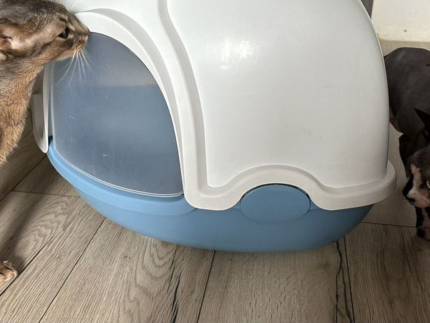 Туалет для кошек закрытый угловой